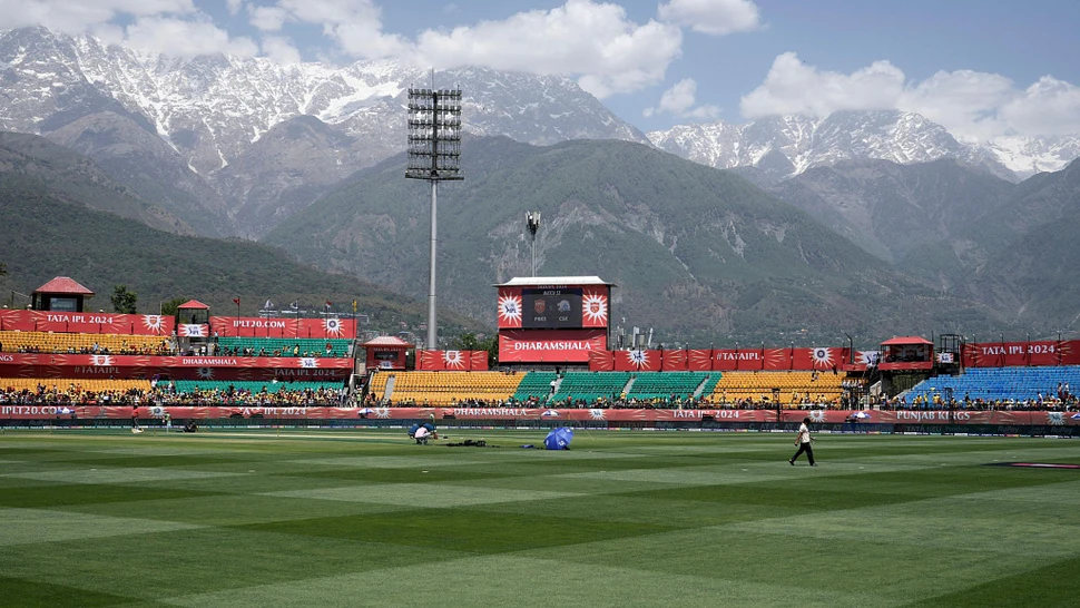 A Guide To Cricket Pitches | Artificial, Hybrid, Natural - US