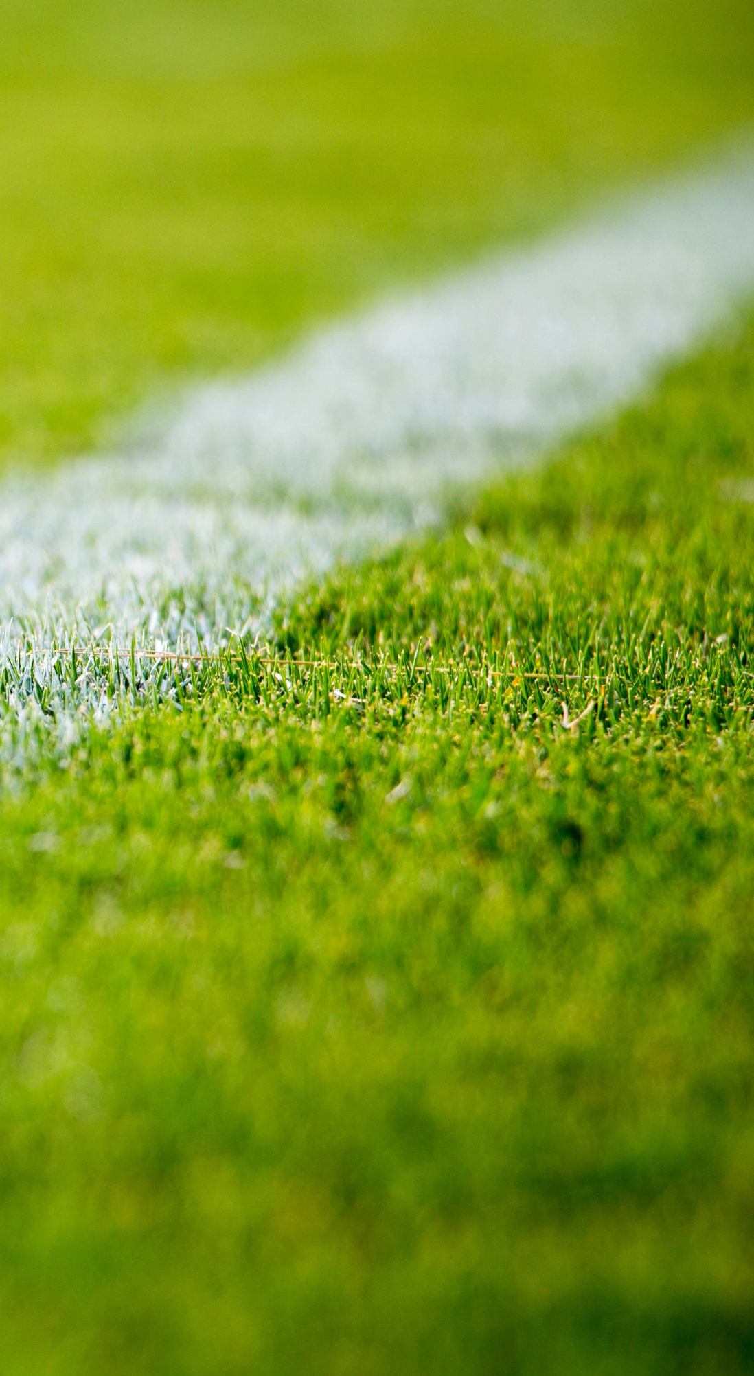 Hybrid Grass Fields | Hybrid Turf Fields | Design, Install & Maintain - US