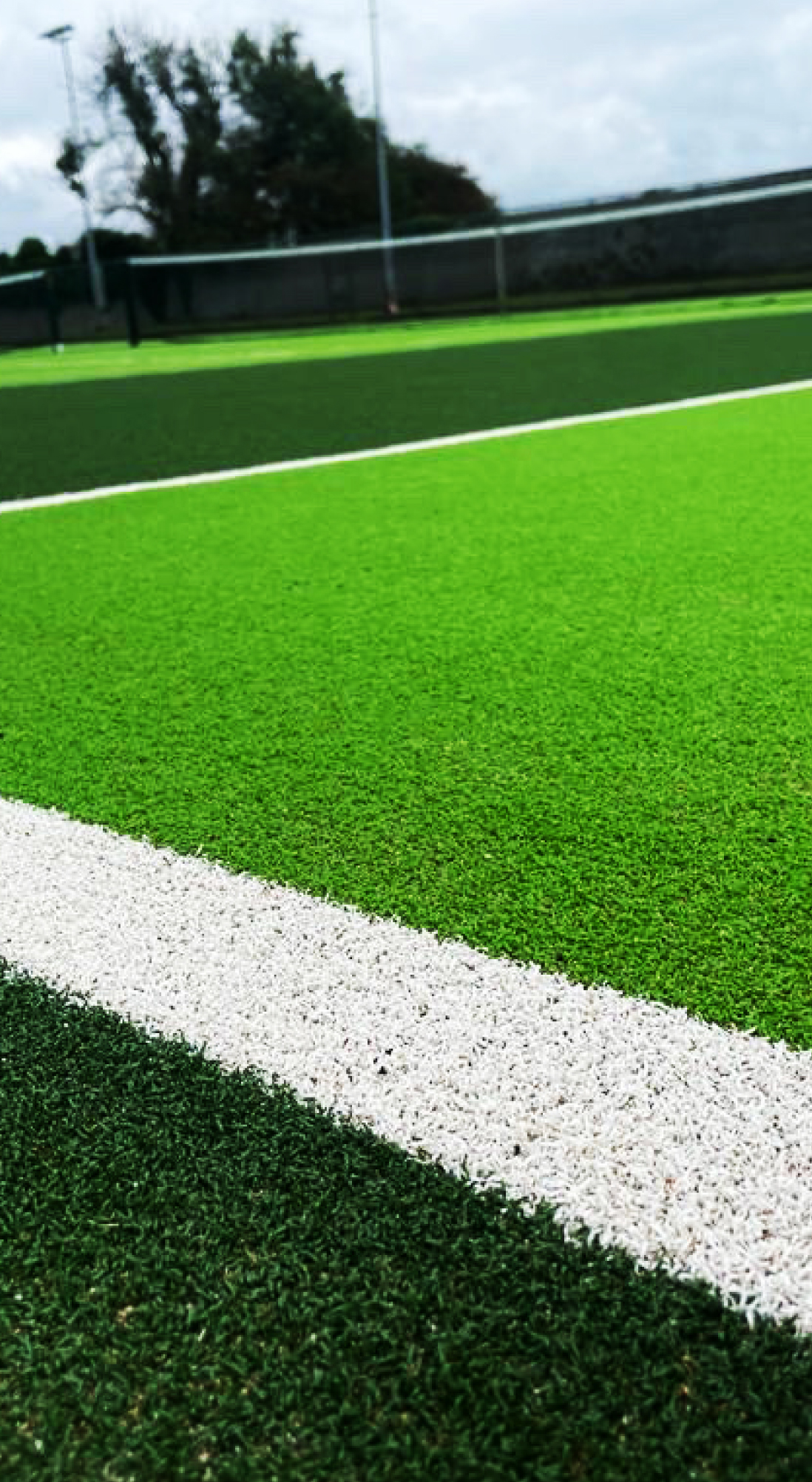 The Definitive Guide to Sports Fields: Hybrid, Natural & Synthetic ...