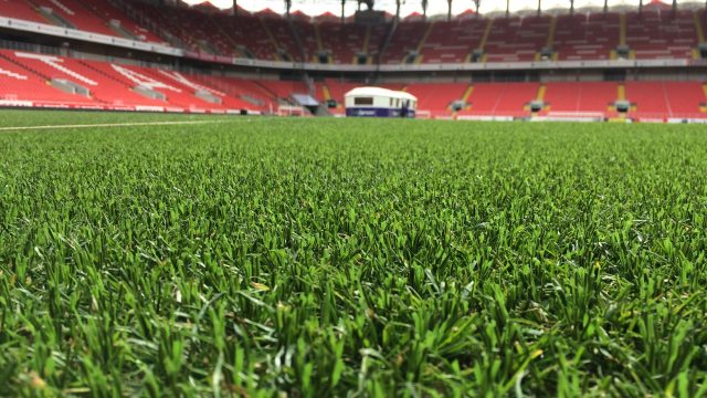 Hybrid Grass Guide: the uses, benefits and maintenance explained - SIS ...