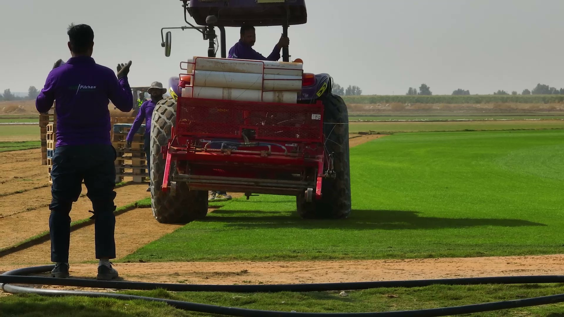 Turf Farms | Sports Pitch Turf Supplier - SIS Pitches