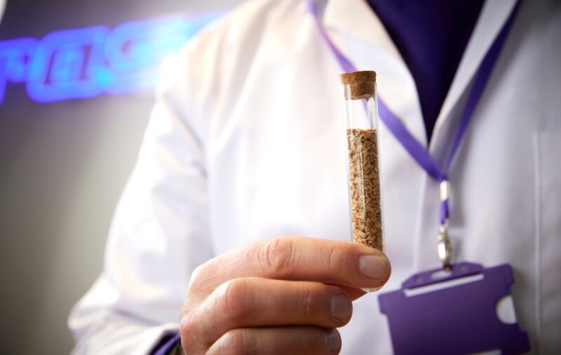 The Definitive Guide to Sports Pitches: Hybrid, Synthetic (Astro Turf ...