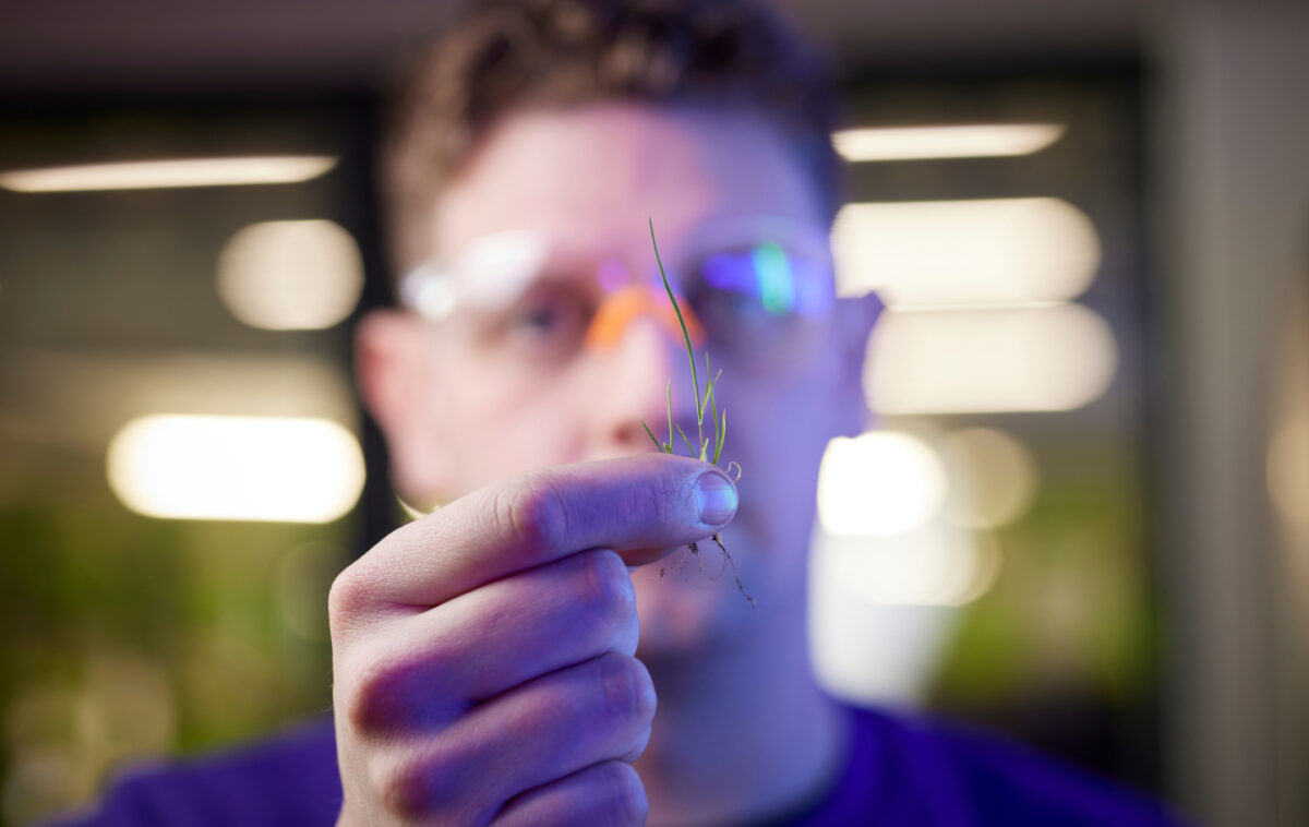 The Definitive Guide to Sports Pitches: Hybrid, Synthetic (Astro Turf ...