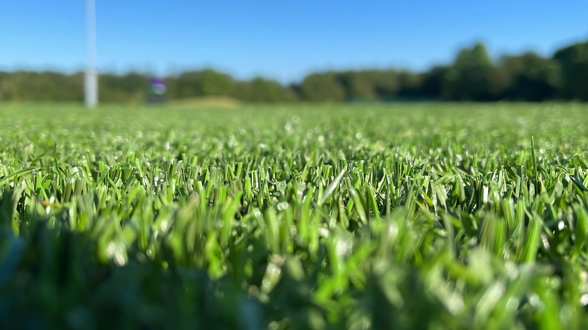 Hybrid Grass Pitches | Hybrid Turf Pitches - SIS Pitches