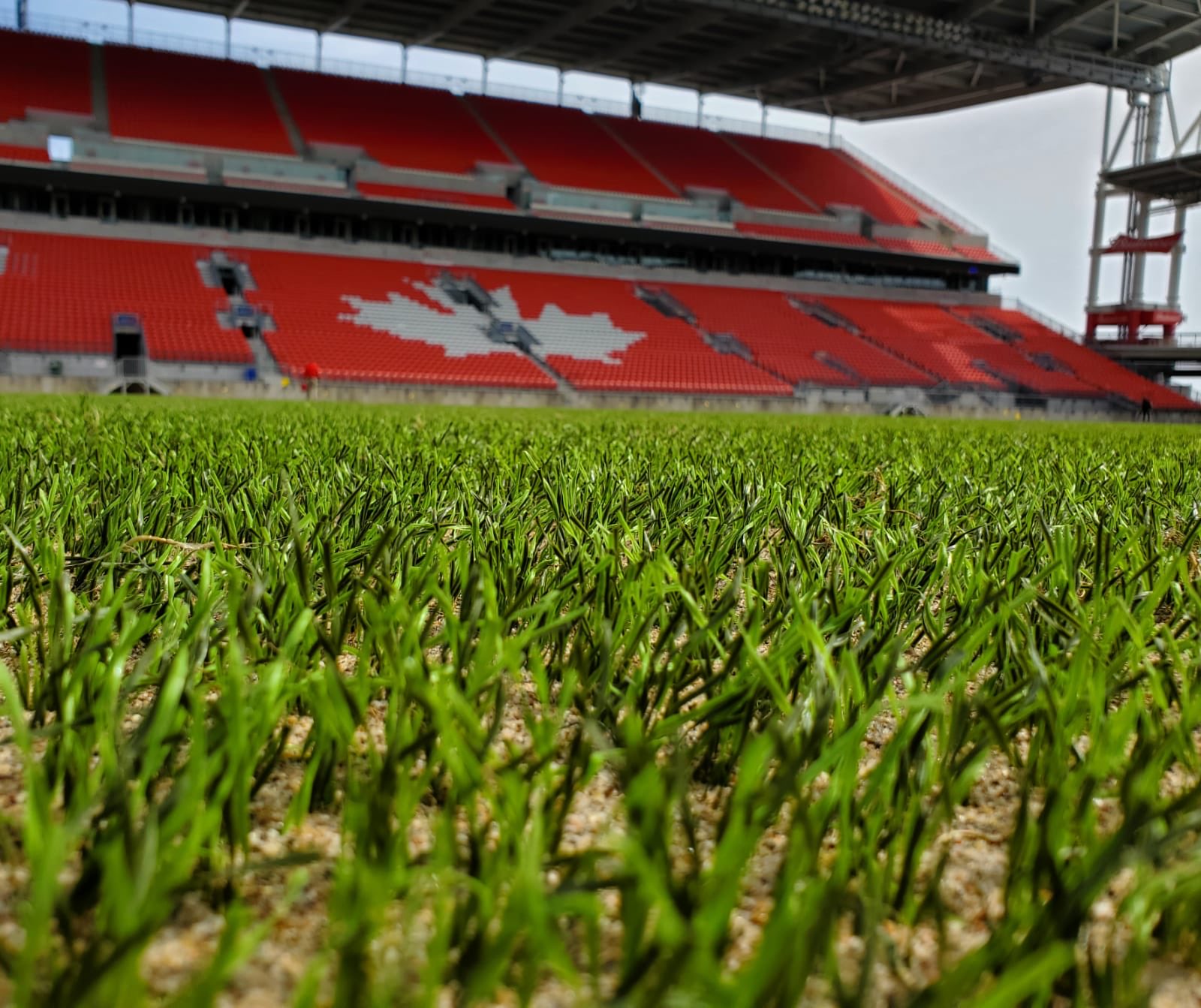 BMO Field - Setting the Standard for Hybrid Grass Surfaces in North ...